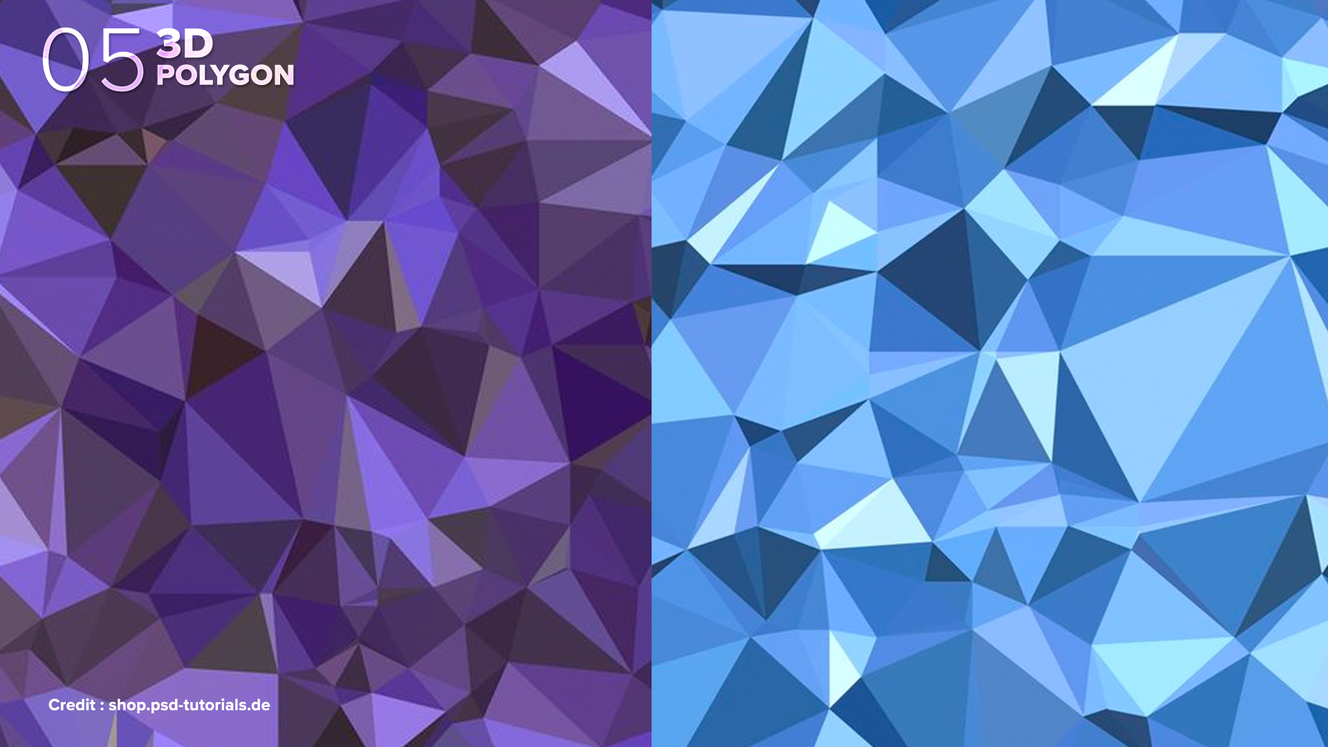 3D Polygon 01 – IDXW